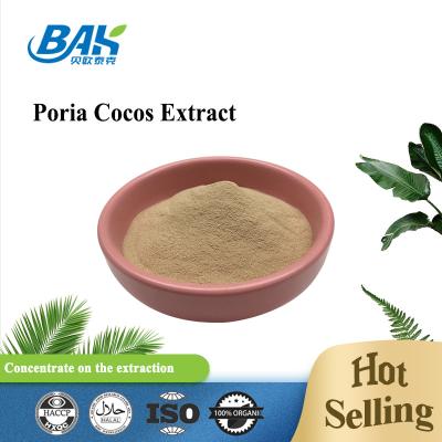 China Polysaccharide Liver Protection Supplement Poria Cocos Extract for sale
