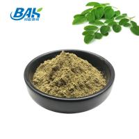 China Organic Moringa Leaf Powder 80 Mesh Food Grade Halal Kosher ISO Green Superfood for sale