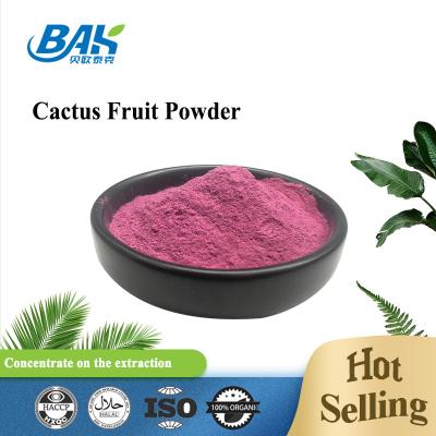 China Prickly Pear Cactus Fruit Purple Red Powder Antihistamine for sale