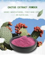China Prickly Pear Cactus Fruit Purple Red Powder Antihistamine for sale