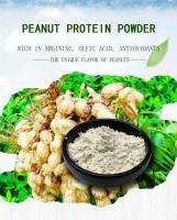 China Organic Peanut Protein Powder 50% 80% Protein Non GMO Food Grade for Supplement for sale