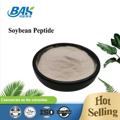 China HPLC Soybean Peptide Protein Powder 100 Mesh 80 Mesh 40 Mesh for sale
