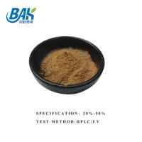 China Herb Immune Enhancing Supplements 40% Bacopa Monnieri Extract Powder for sale