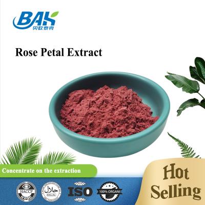 China Bulk Natural Food Additives Pure Rose Extract Powder Antioxidant 5kg MOQ for sale