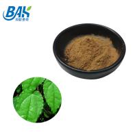China Epimedium Extract Powder Icariin 10%-98% CAS 489-32-7 Mens Health Supplement for sale