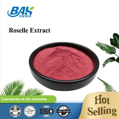 China Roselle Extract Womens Health Supplement 100% Through 80 Mesh for sale