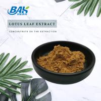 China Nuciferine Lotus Leaf Extract Powder Supplement Halal Kosher for sale
