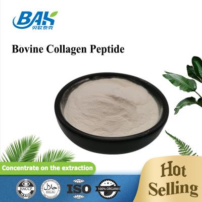 China Cowhide Bovine Collagen Peptide Off White Powder 3000Dal 100 Mesh for Food Cosmetics for sale