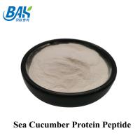 China Sea Cucumber Peptide Powder 100 Mesh Fresh Source Protein 50.1 Percent for Health Supplements for sale