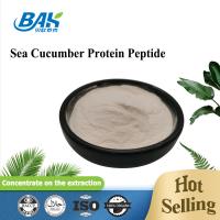 China Sea Cucumber Peptide Powder 100 Mesh Fresh Source Protein 50.1 Percent for Health Supplements for sale