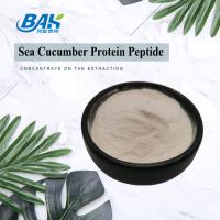 China Sea Cucumber Peptide Powder 100 Mesh Fresh Source Protein 50.1 Percent for Health Supplements for sale
