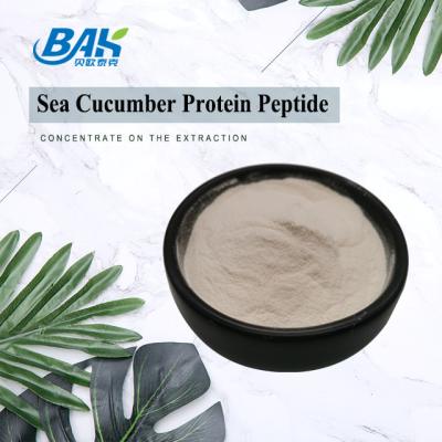 China BAK Sea Cucumber Peptide Powder 100 Mesh Protein 50% for Health Supplements for sale