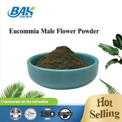 China Eucommia Male Flower Extract 10:1 Liver Protection Supplement 80 Mesh Powder for sale