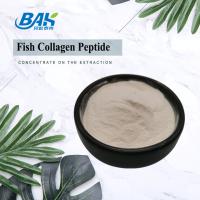 China CAS 9064-67-9 Fish Collagen Peptide Powder Cosmetic Raw Materials for sale
