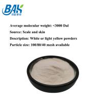 China Fish Collagen Peptide Powder Cosmetic Raw Material CAS 9064-67-9 100 Mesh for sale
