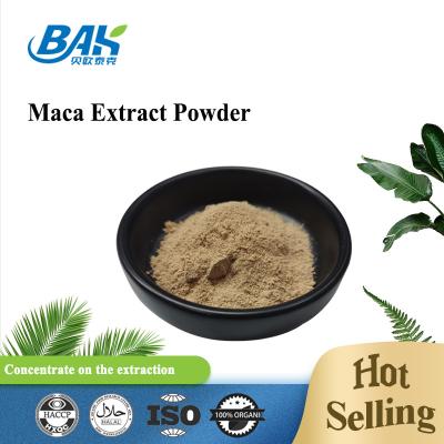 China Mens Health Supplement Macamides Maca Extract for sale