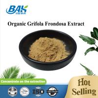 China 70% Beta Glucan Grifola Frondosa Mushroom Extract Supplement UV VIS for sale
