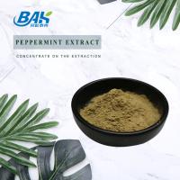 China Peppermint Extract 10:1 20:1 Mentha Haplocalyx Briq Brown Powder Immune Enhancing Supplement for sale