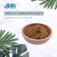 China Best Price Natural Tribulus Terrestris Extract Powder for sale