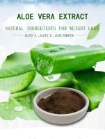 China Aloe Vera Extract Powder 10% 95% Aloin for Weight Loss Supplement for sale