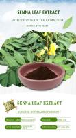 China 20% Sennosides Senna Leaf Extract Supplement Powder 100% Water Soluble for sale