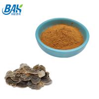 China Coriolus Versicolor Mushroom Extract 10%-50% Polysaccharide Brown Yellow Powder for sale