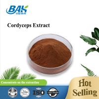 China Cordycepin 5% 10% 20% Mens Health Supplement Cordyceps Extract Brown Powder for sale
