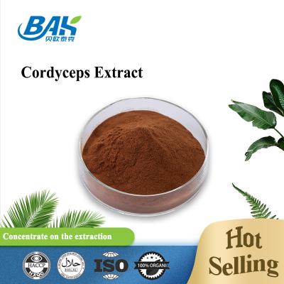 China Cordycepin 5% 10% 20% Mens Health Supplement Cordyceps Extract Brown Powder for sale