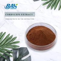 China Cordycepin 5% 10% 20% Mens Health Supplement Cordyceps Extract Brown Powder for sale