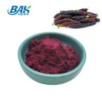China Morus Alba L Mulberry Fruit Purple Powder for sale