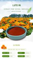 China Lutein 5% 10% Immune Enhancing Supplements Orange Red Powder for sale
