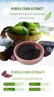 China Purple Corn Extract Anthocyanidins Powder 5:1 10:1 20:1 Food Grade for Health Supplements for sale