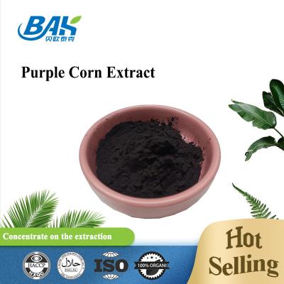 China Purple Corn Extract Anthocyanidins Powder 5:1 10:1 20:1 Food Grade for Health Supplements for sale