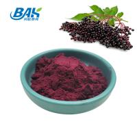 China 5% Anthocyanin Extract Supplement Purple Red Elderberry Extract Powder for sale