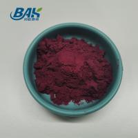 China 25% Anthocyanin Extract Supplement Aronia Extract  Purple Red Powder for sale