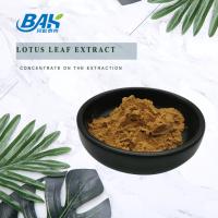 China Natural Lotus Leaf Extract Weight Loss Supplement Powder for sale