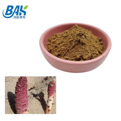 China Bulk Echinacoside 15%Min Acteoside 3.5%Min Cistanche Deserticola Extract for sale
