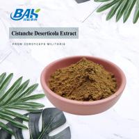 China Bulk Echinacoside 15%Min Acteoside 3.5%Min Cistanche Deserticola Extract for sale