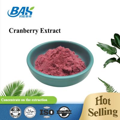 China Anthocyanidins 25% Anthocyanin Extract Supplement Cranberry Extract Powder for sale