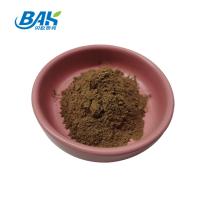 China Ginkgo Biloba Extract Cas 90045-36-6 for sale