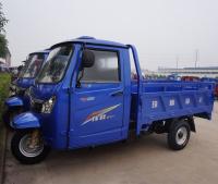 China High-Speed 250cc Gasolina Cargo Tricycle Dump Truck with 3 Wheels and Max Speed 70km/h for sale