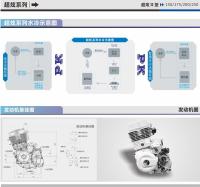 China ISO Approved Lifan Water Cooled 4 Stroke Gasoline Engine with 1200ml Oil Capacity for sale