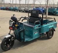 China 501-800W Electric Motor Adults Van Cargo Tricycle with 48v20Ah Battery at Best for sale