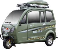 China Yaolon Gasoline Trike Three Wheel Bike Enclosed Trailer Car Motorcycle Tricycle 200w for sale