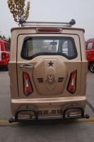 China Yaolon Gasoline Trike Three Wheel Bike Enclosed Trailer Car Motorcycle Tricycle 200w for sale