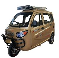 China China manufacturer YAOLON brand adultpassenger  tricycle petrol type drift trike for sale