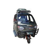 China Integrated Stamping Body Design 2021 Three Wheel Motorcycle for Passenger Petrol Type for sale