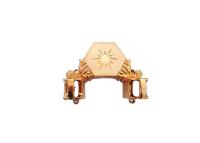 China Brass Color Coffin Parts Funeral Casket Decoration Sun And Star Pattern PP New Material for sale