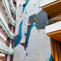 China Mixed Color Fiberglass Rope Adult Climbing Wall For Shopping Mall for sale