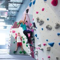 China Indoor Bouldering Adult Rock Climbing Wall Various Climbing Holds For Sports Center for sale